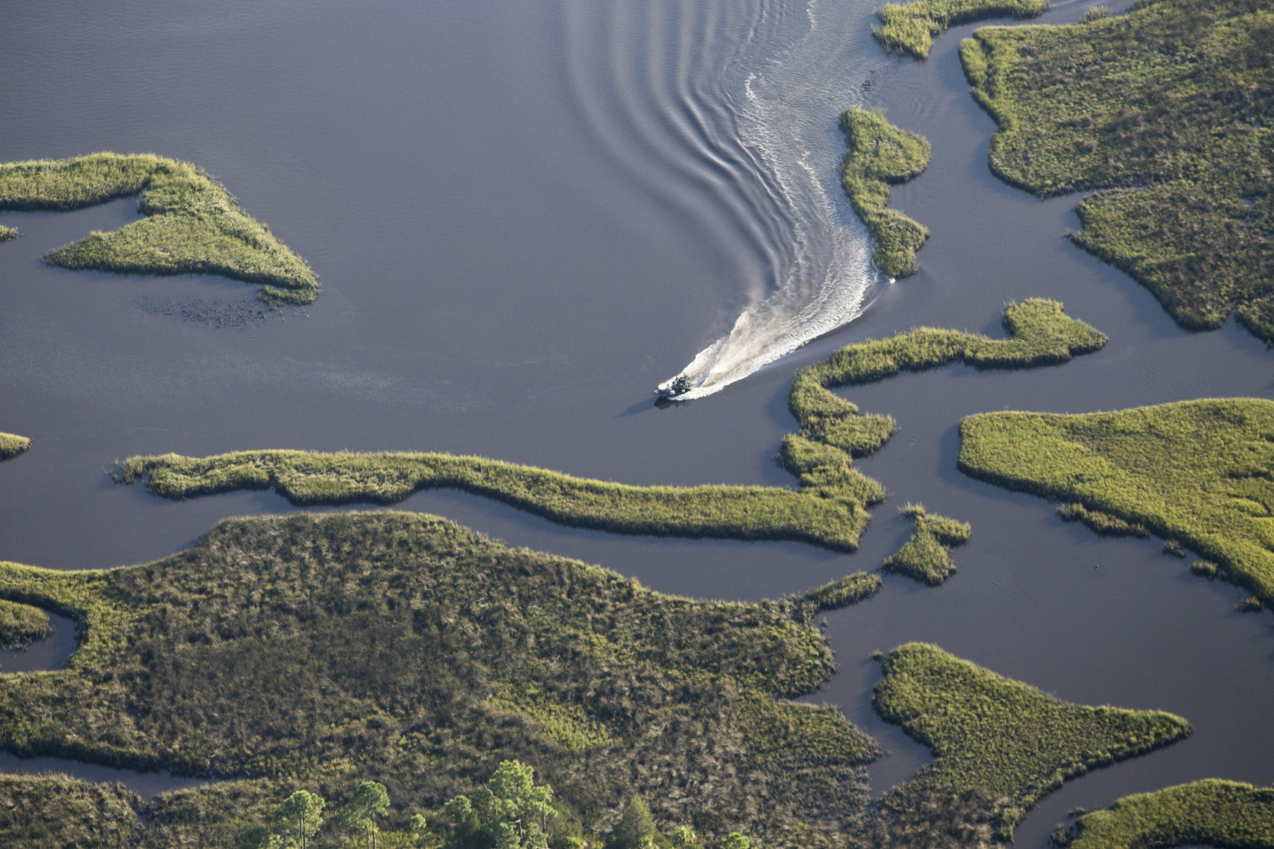 Graham Center Home to New Interdisciplinary Gulf Scholars Program - Bob ...